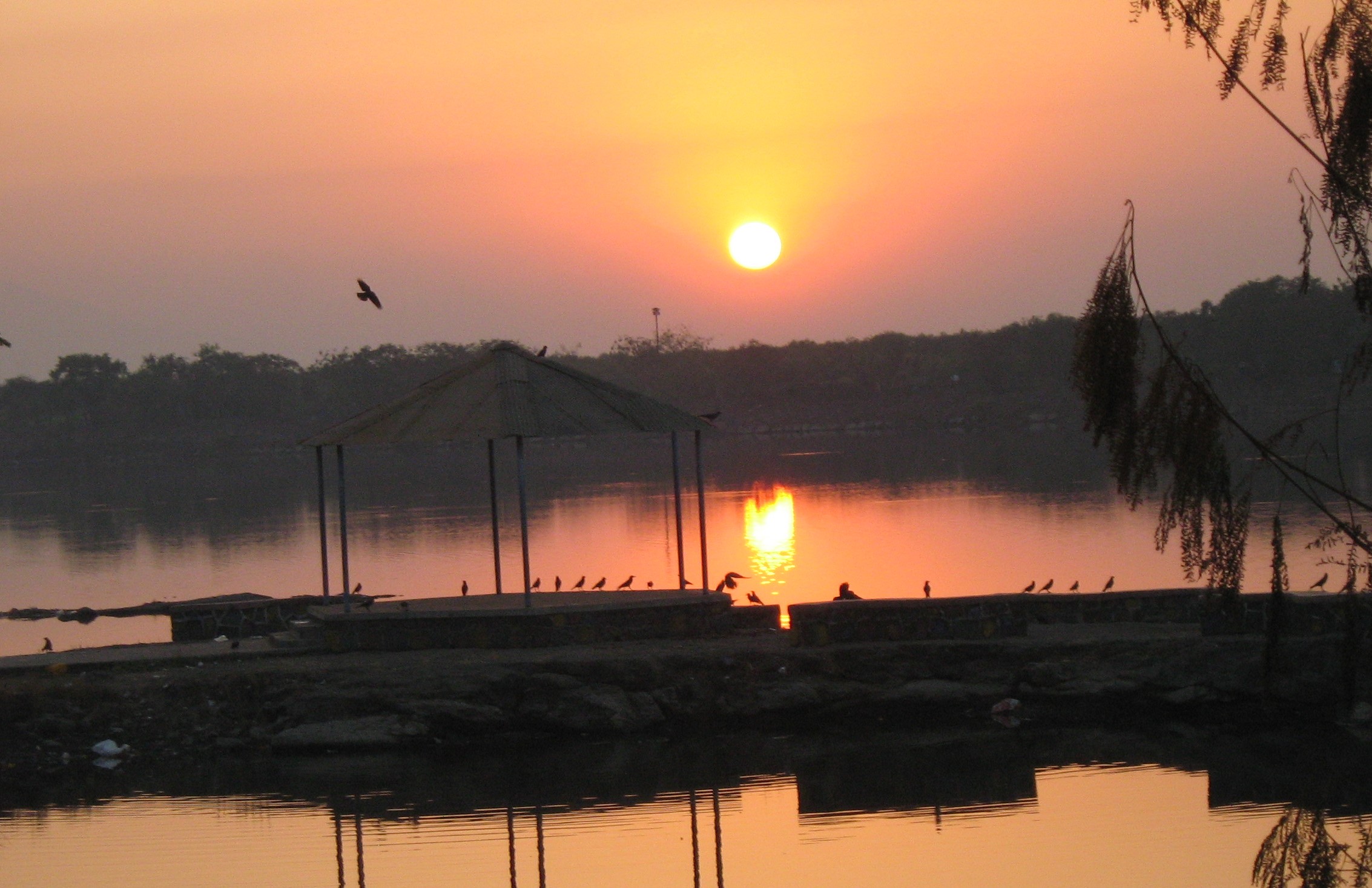 Online Bus Pass System